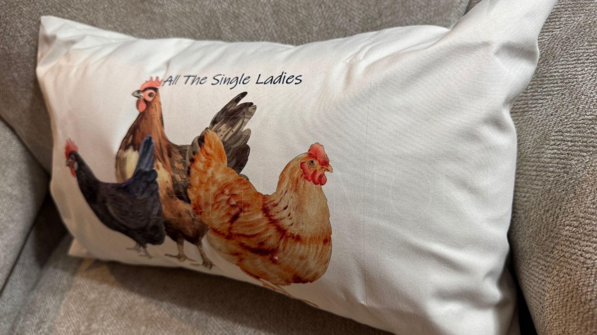 All the Single Ladies